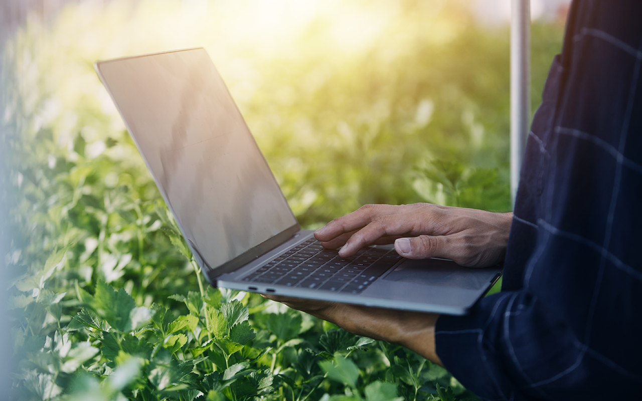 i3 Broadband Fiber Service Expands in Rockford, IL